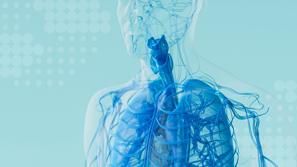 Application Areas – RAUMEDIC