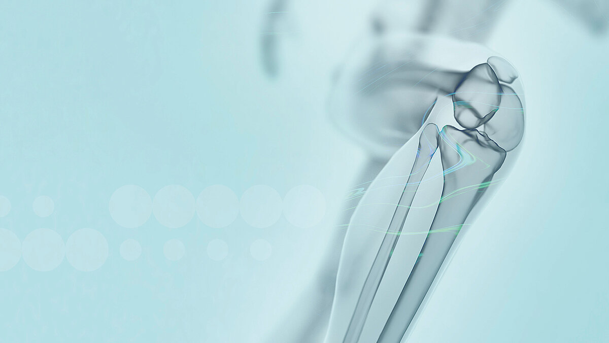 Application Areas – Raumedic