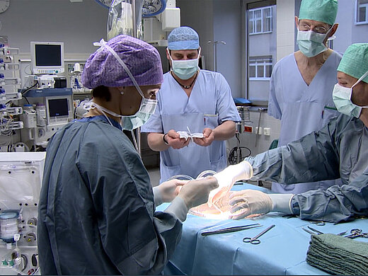 New prospects for liver transplants – RAUMEDIC