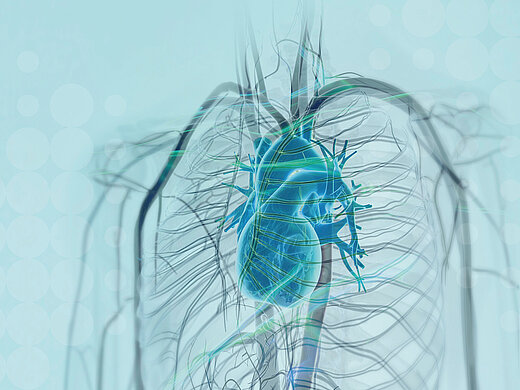 Solutions for cardiosurgery – RAUMEDIC