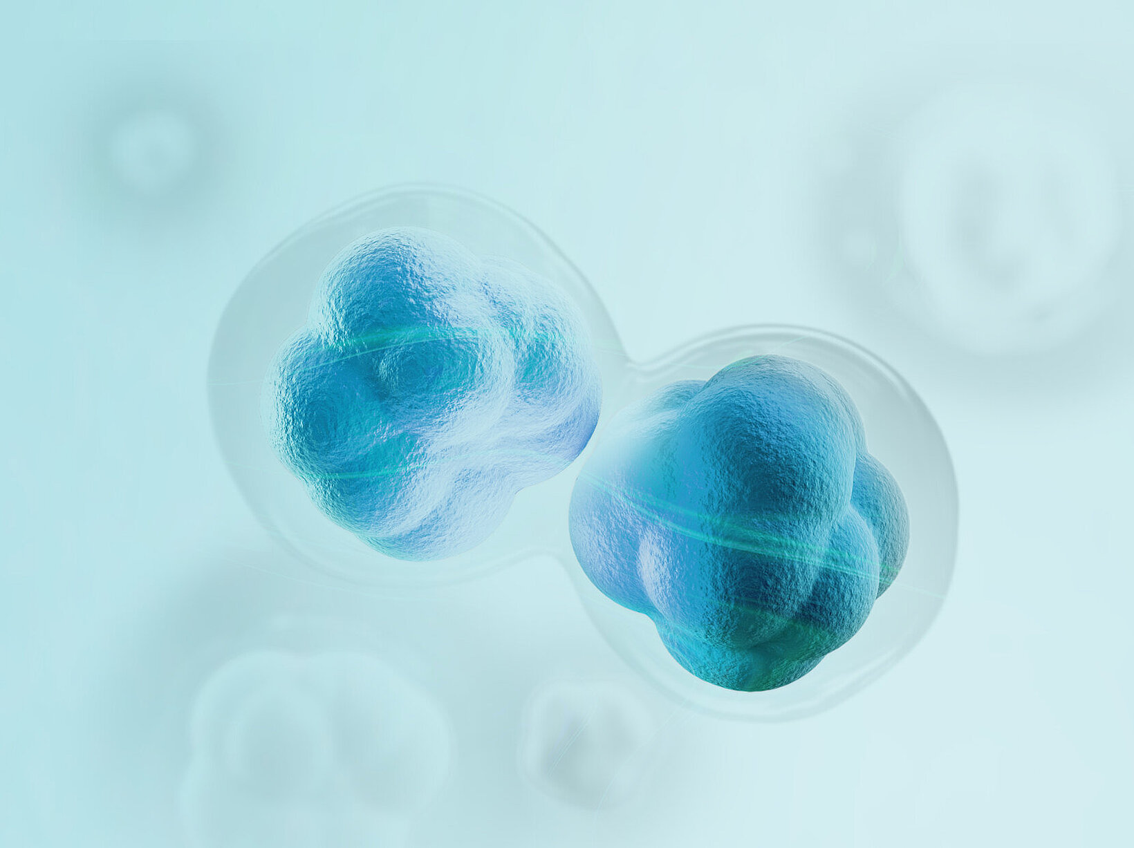 RAUMEDIC - Medical and pharmaceutical solutions – RAUMEDIC