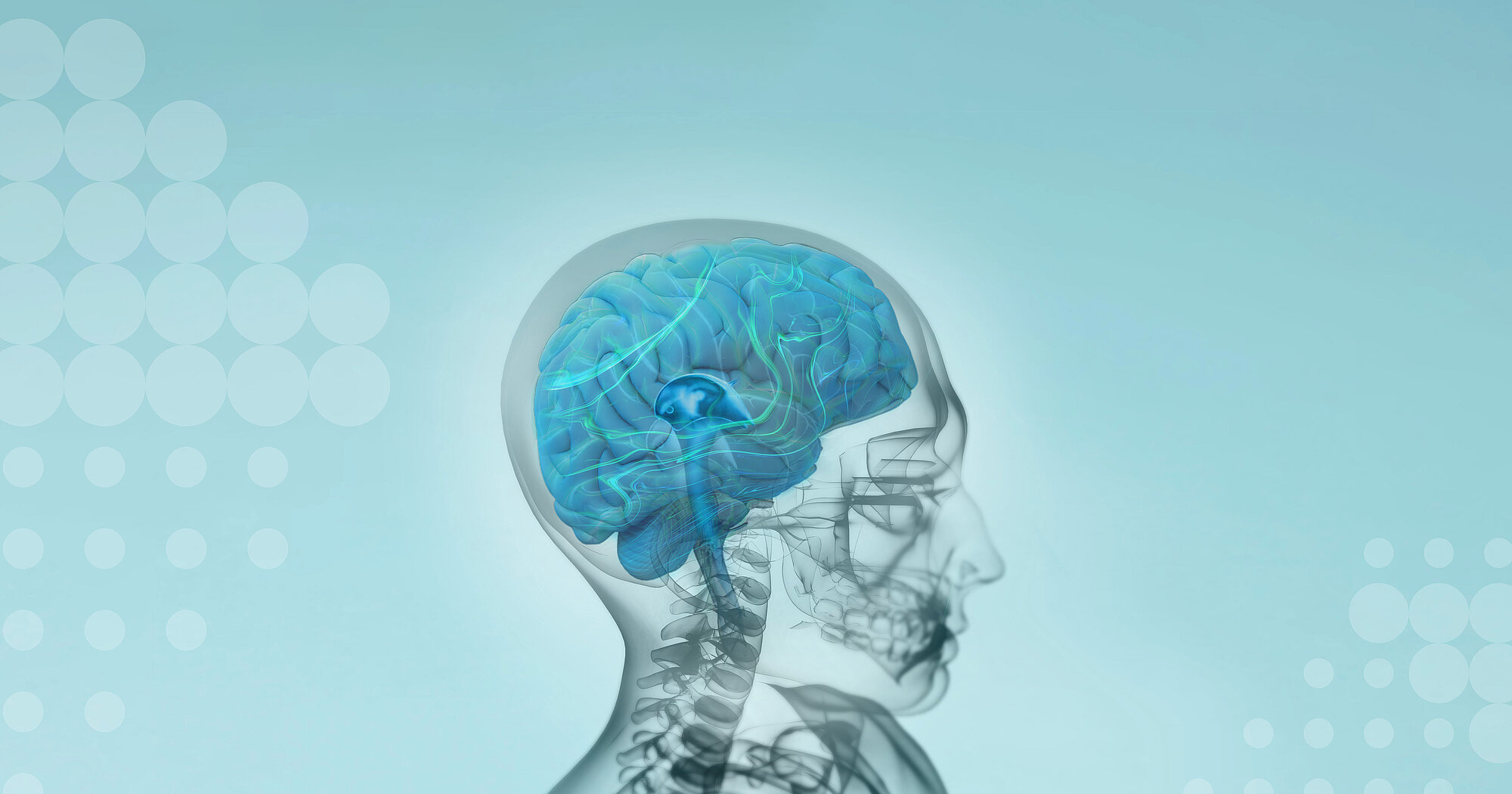 Measuring catheters for physiological parameters – RAUMEDIC