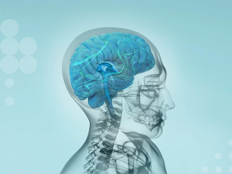 Software for transferring measured medical data to a PC – RAUMEDIC