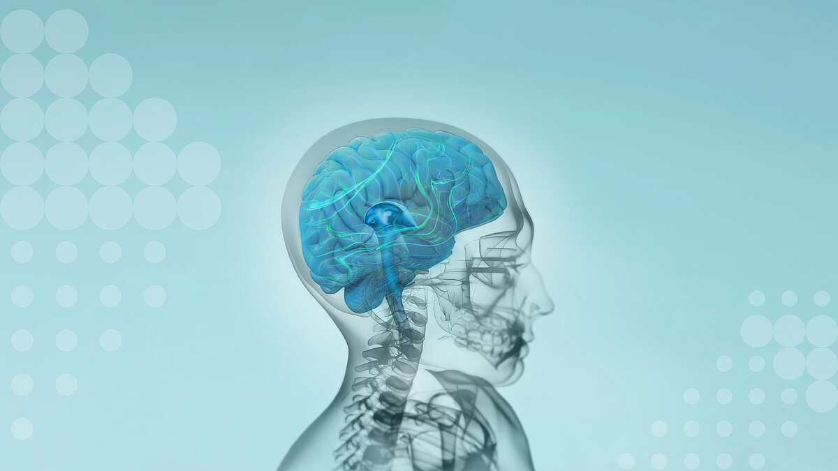 Measuring catheters for physiological parameters – RAUMEDIC