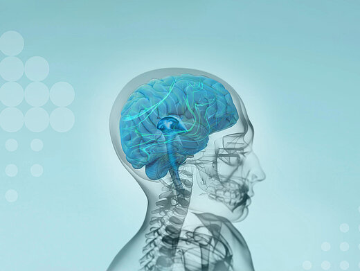 NEUROVENT-p-tel for measuring intracranial pressure in the brain – RAUMEDIC