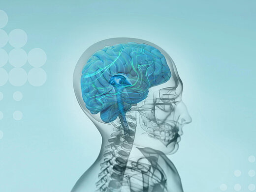 Measuring catheters for physiological parameters – RAUMEDIC