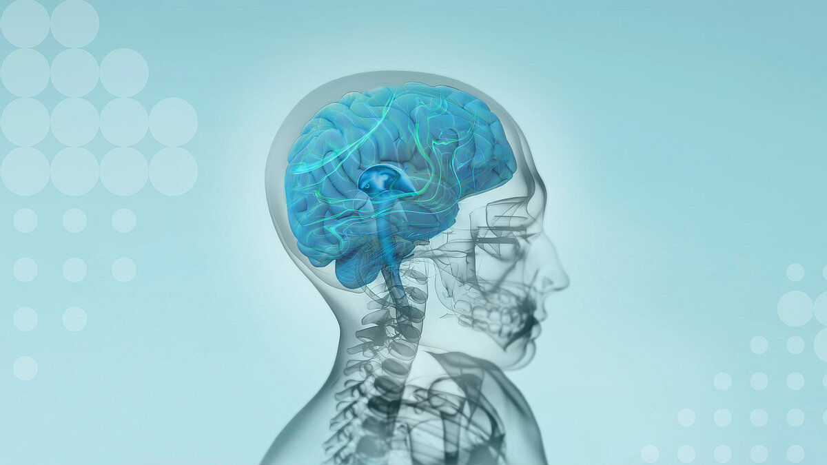 Application Areas – RAUMEDIC