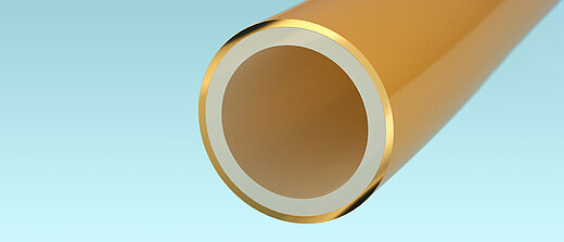 Solutions for Cell and Gene Therapy – RAUMEDIC