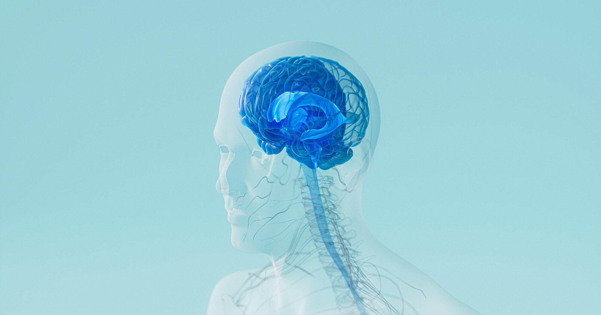Precise Measurement of Brain Temperature – RAUMEDIC
