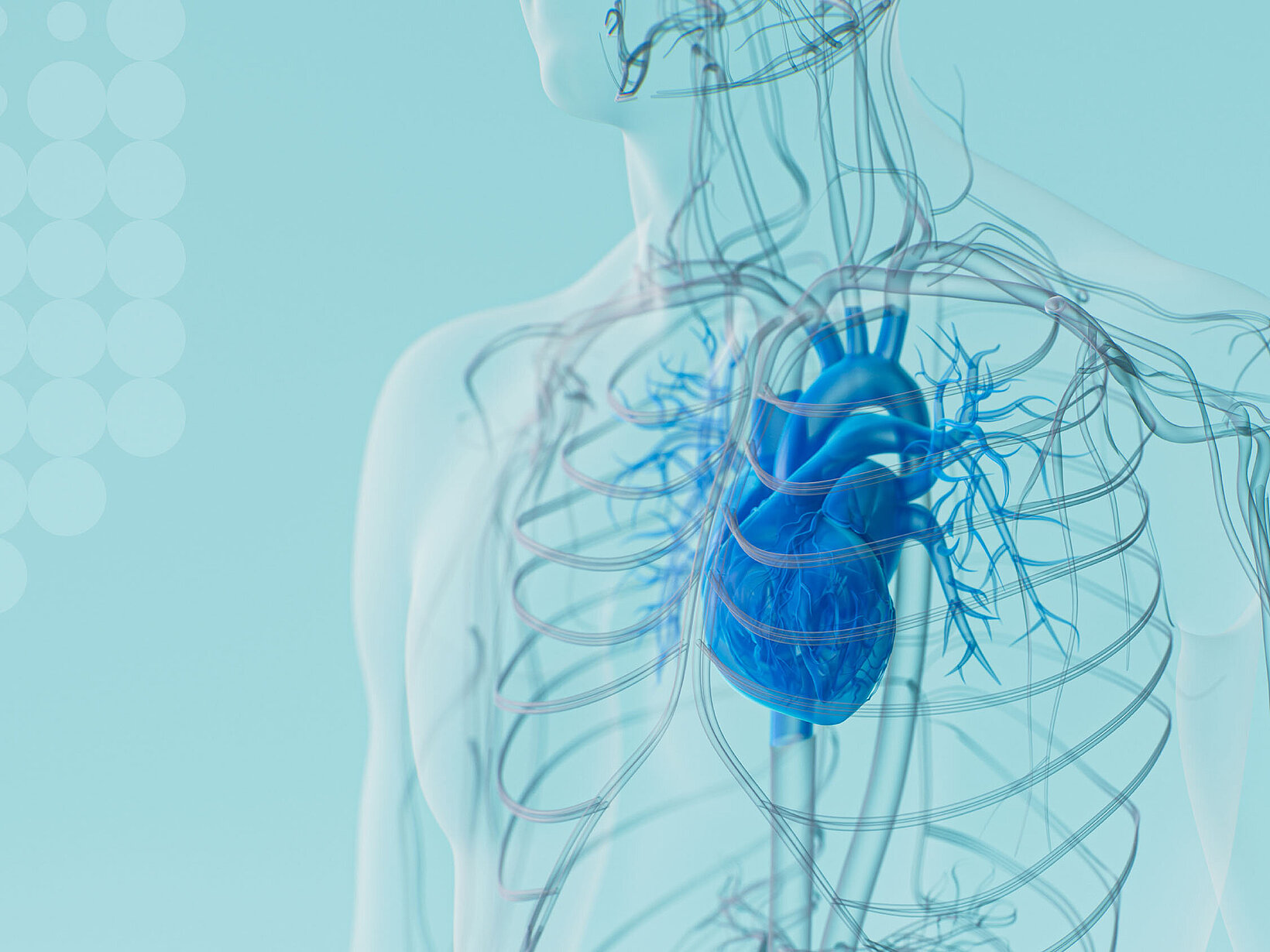 RAUMEDIC - Medical and pharmaceutical solutions – RAUMEDIC