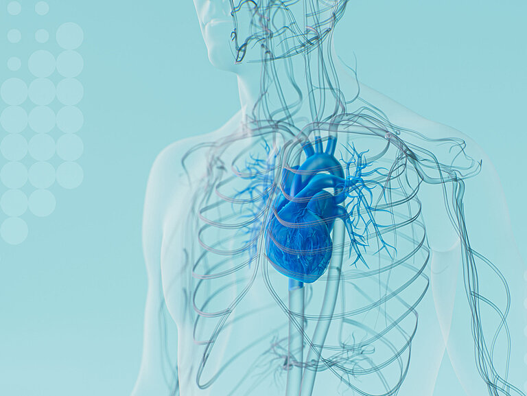 Solutions for cardiosurgery – RAUMEDIC