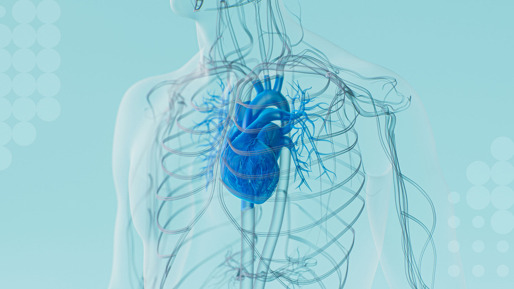Application Areas – RAUMEDIC
