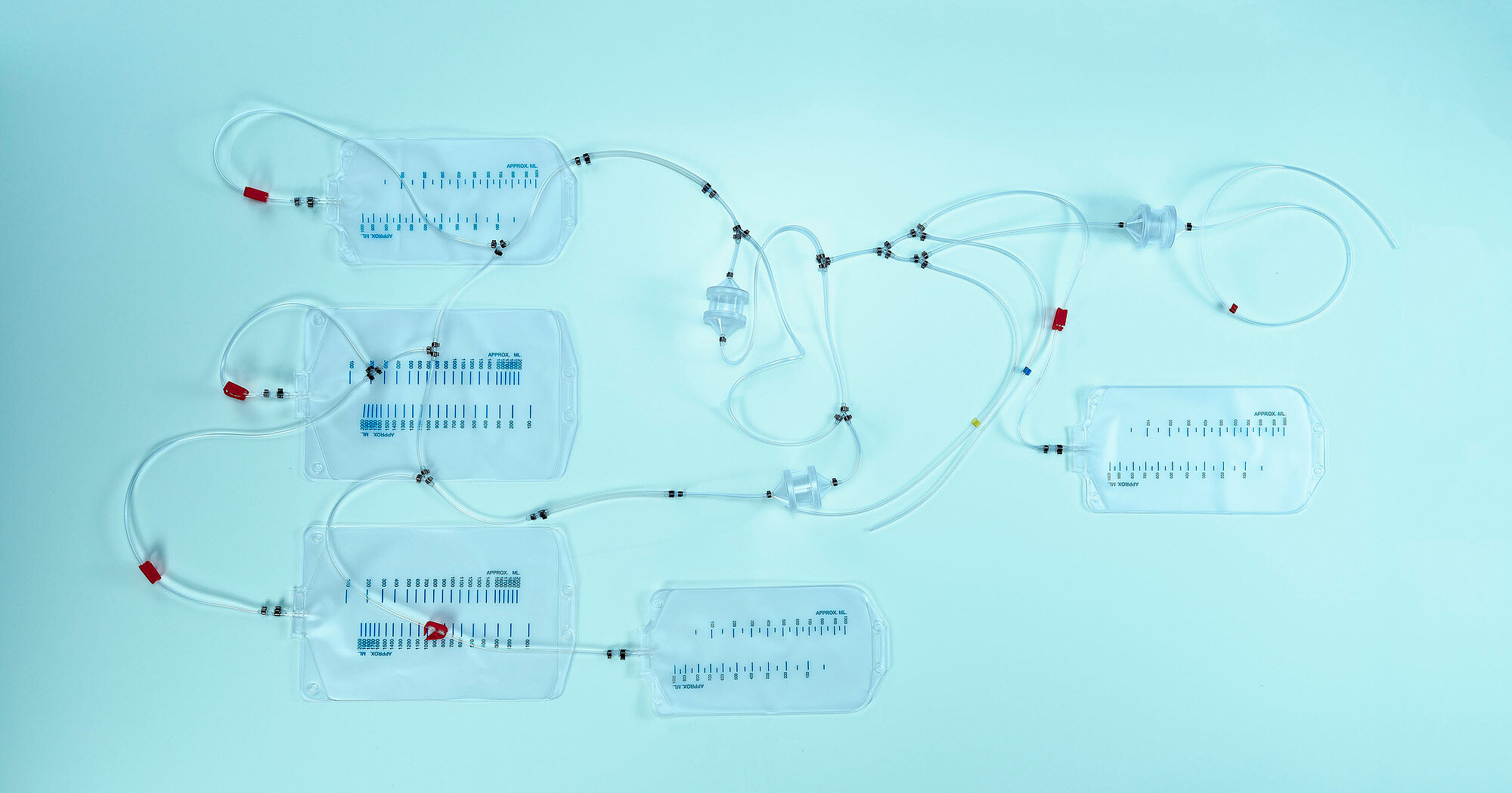 Isolation and Modification of Cells – RAUMEDIC