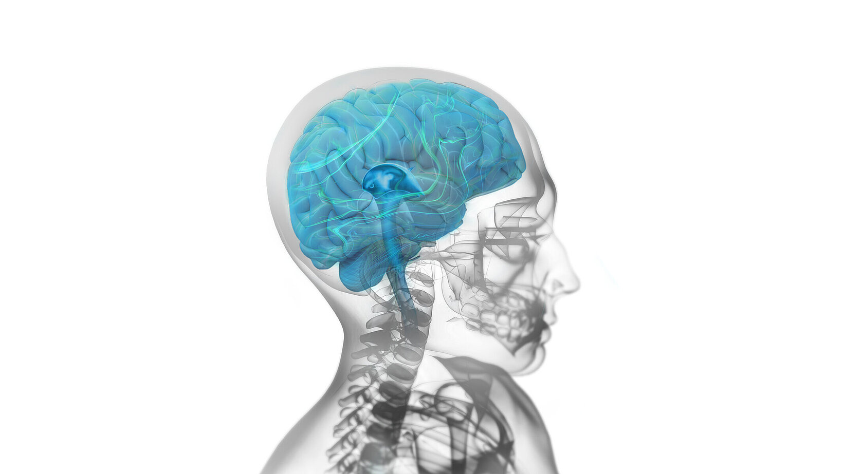 Präzise Messung des intrakraniellen Drucks – RAUMEDIC